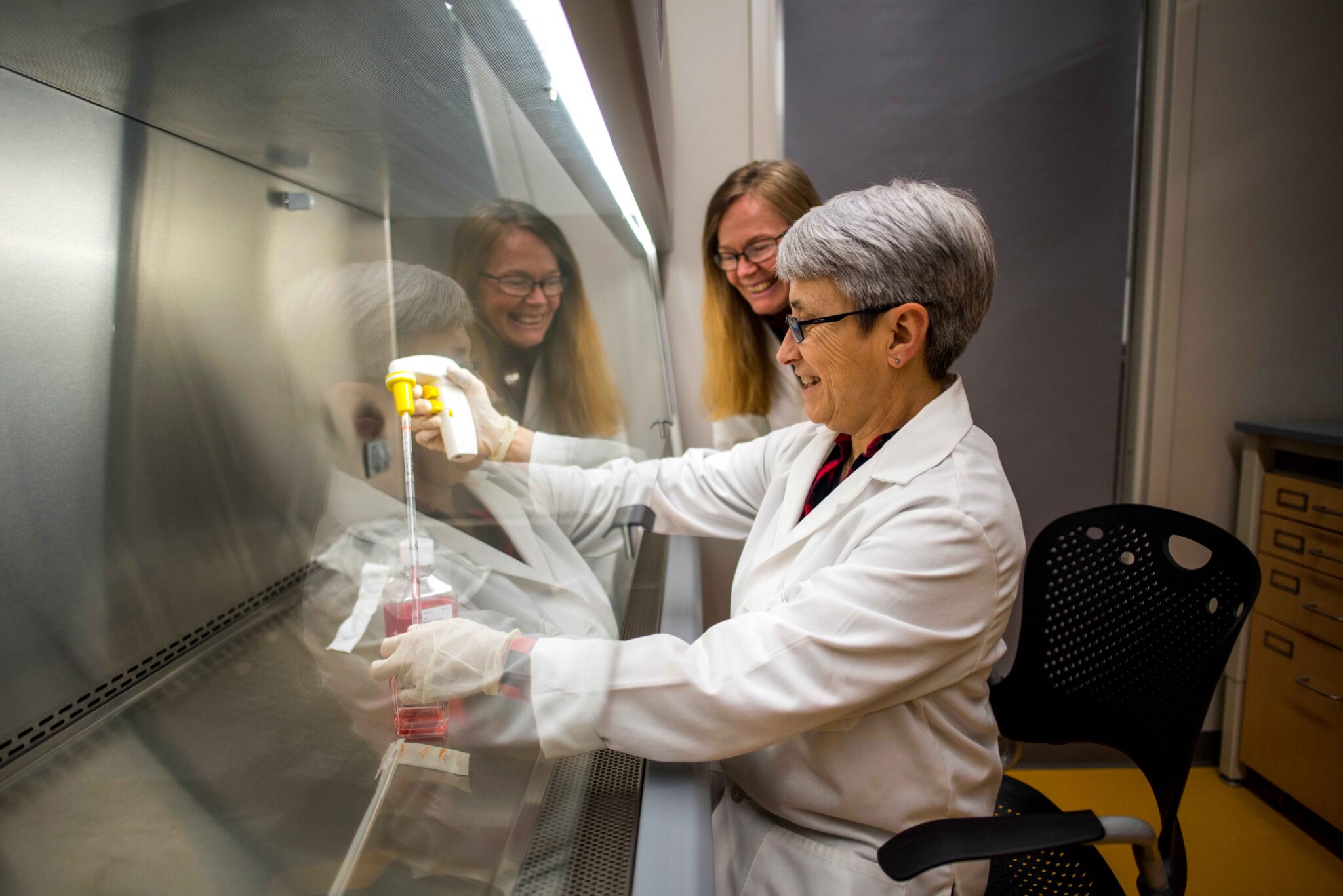 Aquatic Animal Health Laboratory - Aquaculture Research Institute ...