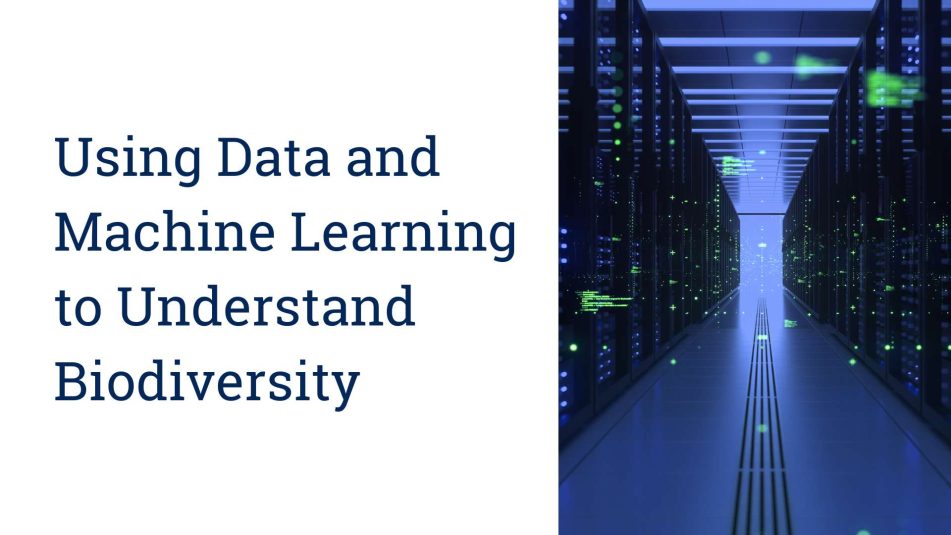 Using Data and Machine Learning to Understand Biodiversity - ARCSIM - University of Maine