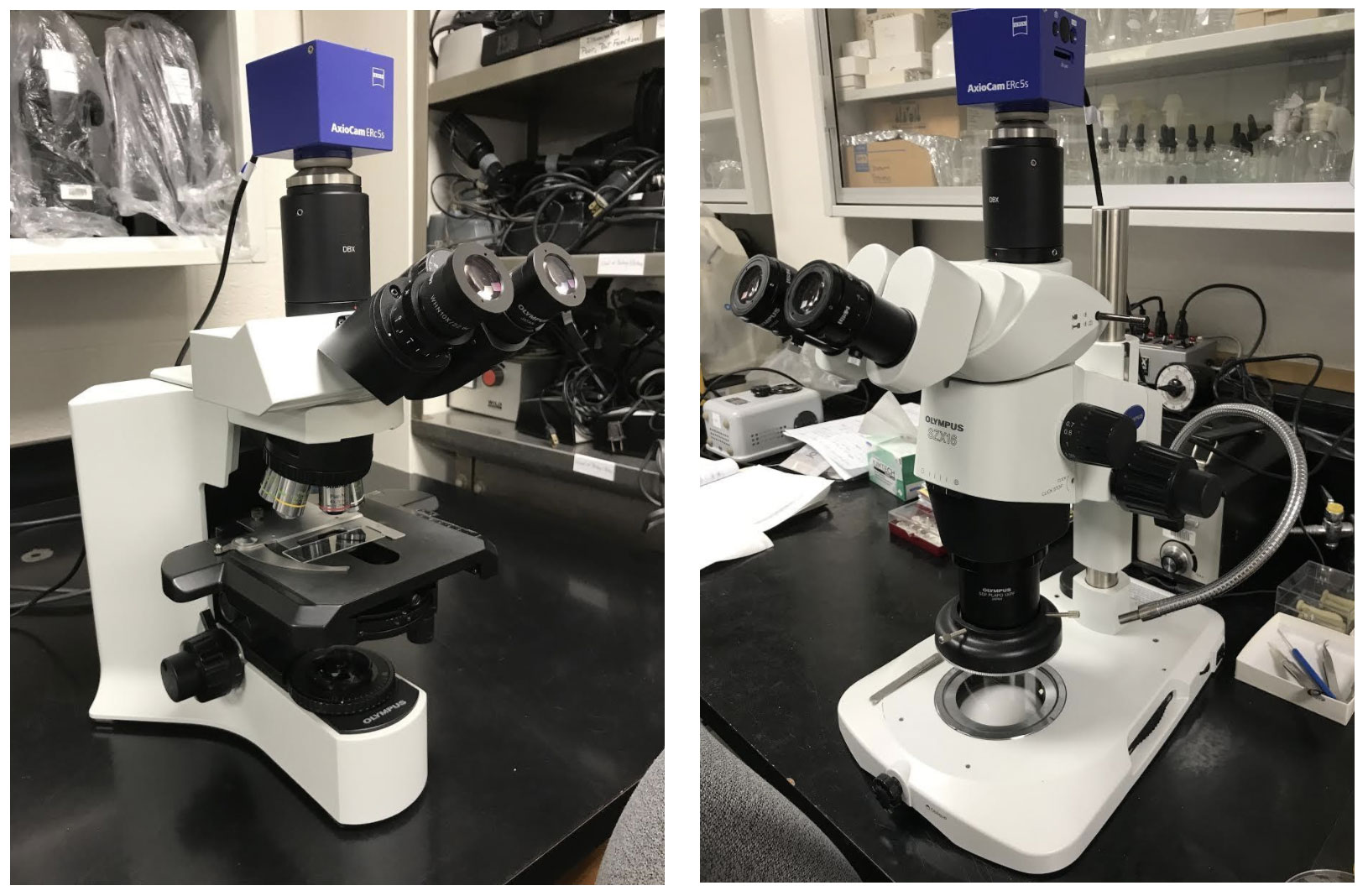 Electron Microscopy Laboratory - Coordinated Operating Research Entities