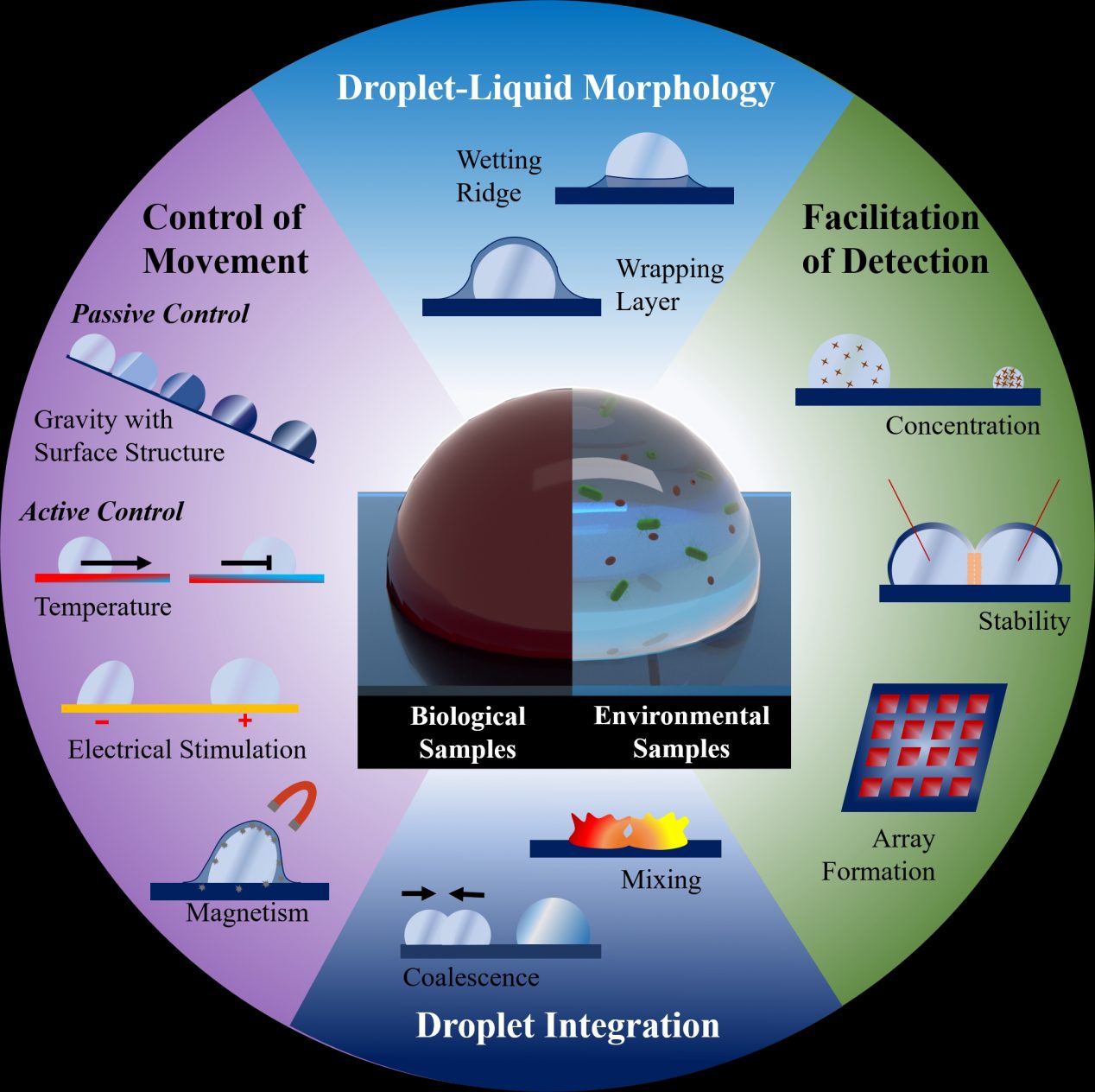 Fundamentals of Immobilized Liquid Layers - Howell Biointerface Lab ...
