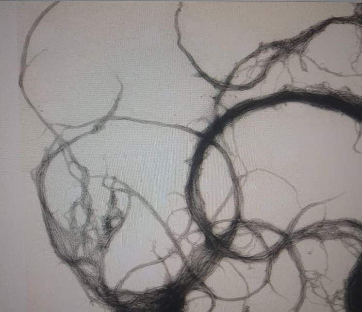 Anna Briley - Howell Biointerface Lab - University of Maine