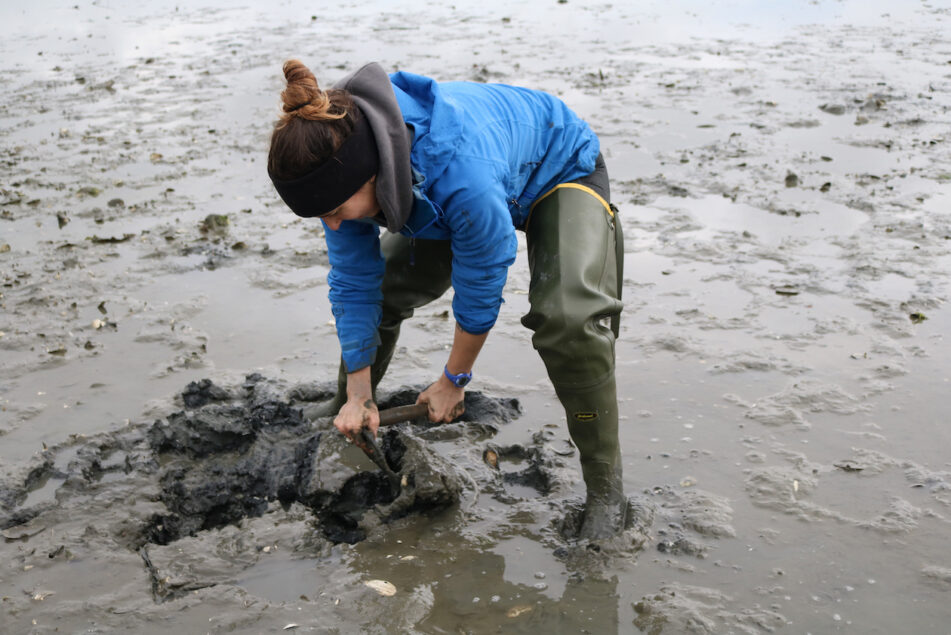 Update - Shellfish resilience project - Leslie Lab: Marine Conservation ...