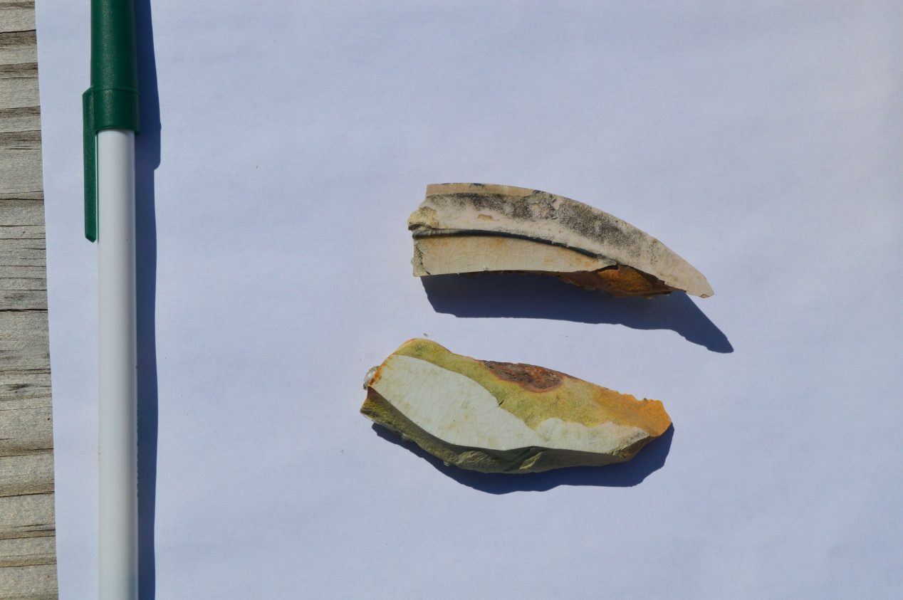 What is a midden? - Maine Midden Minders - University of Maine