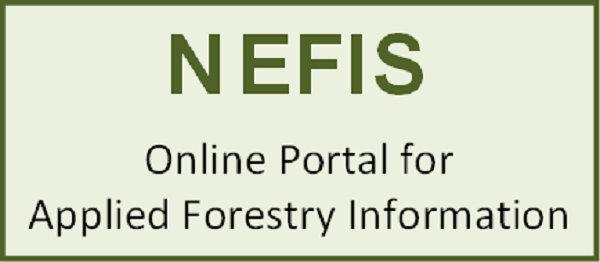 About NEFIS - Northeast Forest Information Source - University of Maine