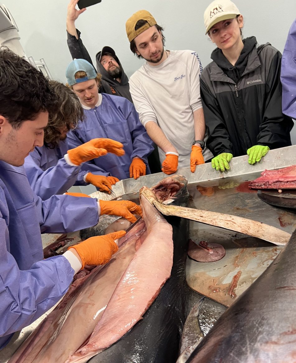 Pelagic Fisheries Lab