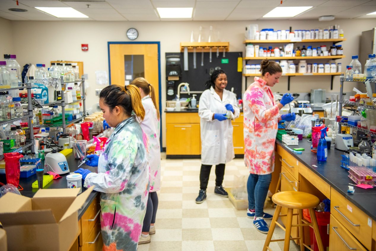 Office of Research Development at the University of Maine