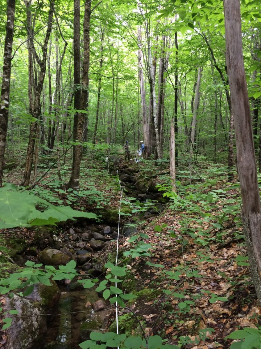 Managing the ecosystem of Maine streams - UMaine Research - University ...