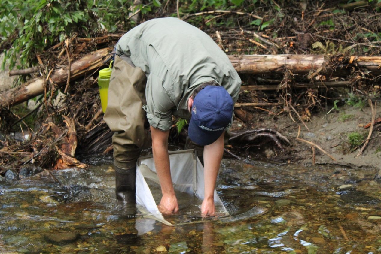 Managing the ecosystem of Maine streams - UMaine Research - University ...