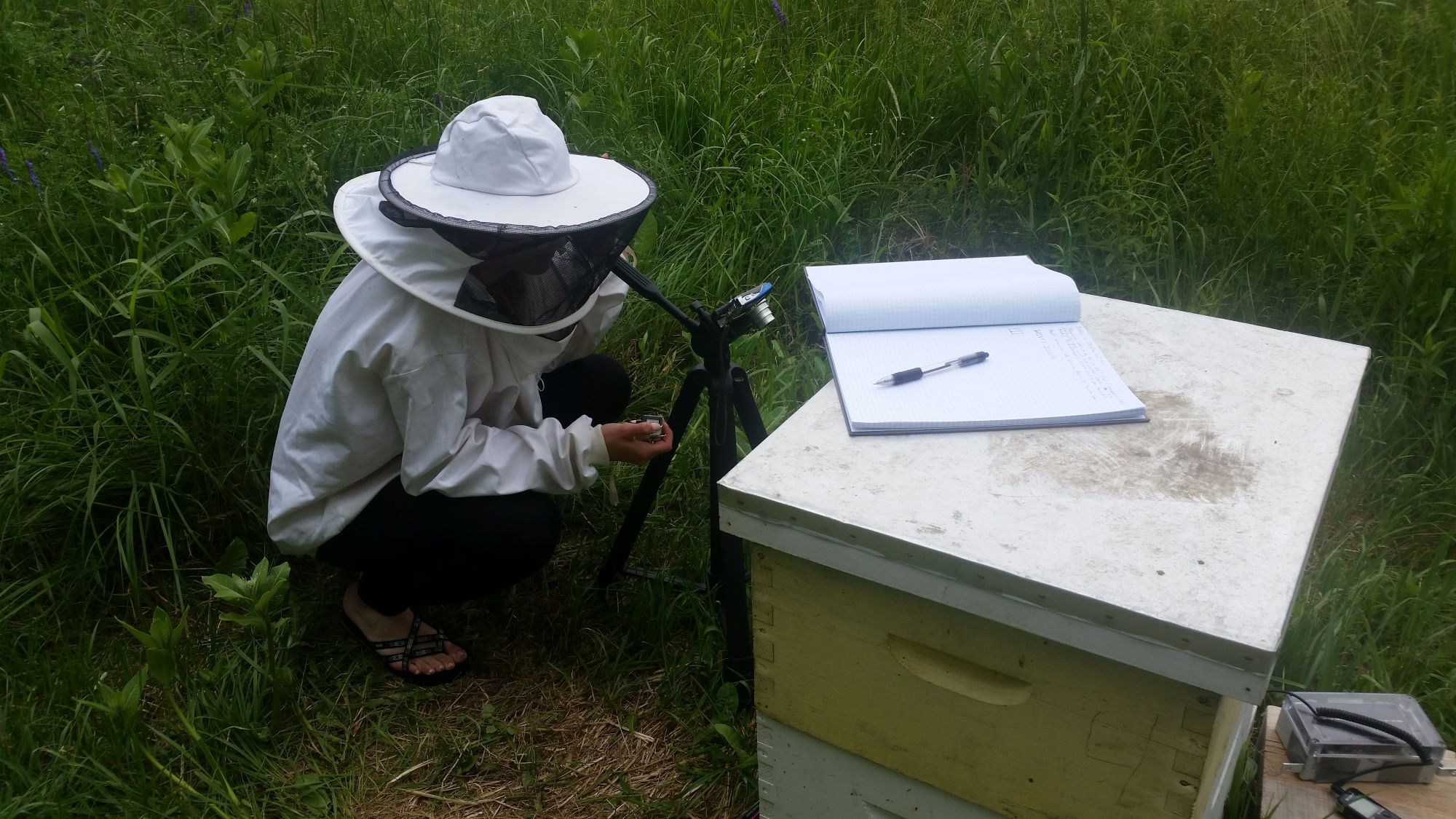 Bee Hive Monitoring Using Radar Techniques - RF Photonics - University ...