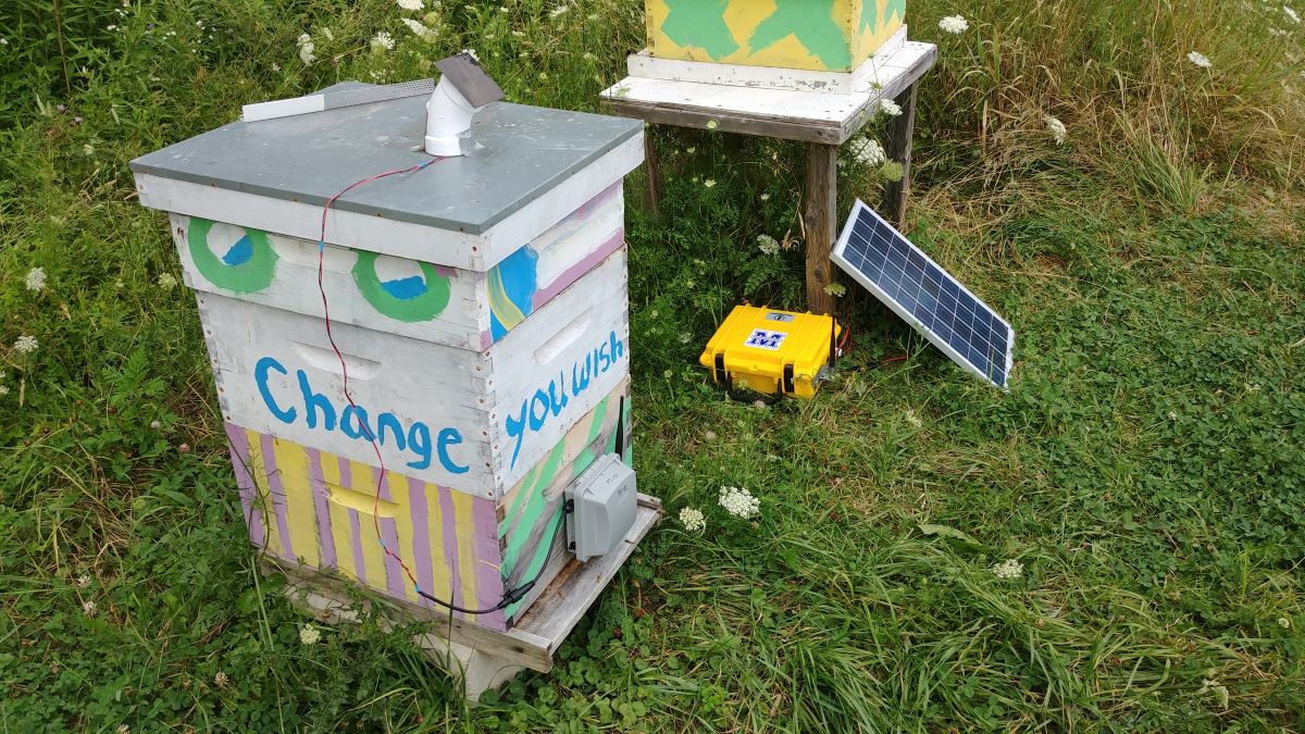 Bee Hive Monitoring Using Radar Techniques - RF Photonics - University ...