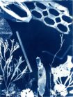 Cyanotype Impressions of the Atlantic Ocean in Maine - The Maine ...