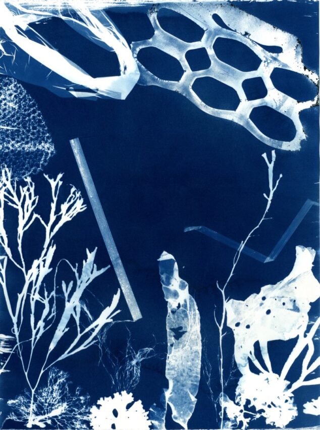 Cyanotype Impressions of the Atlantic Ocean in Maine - The Maine ...