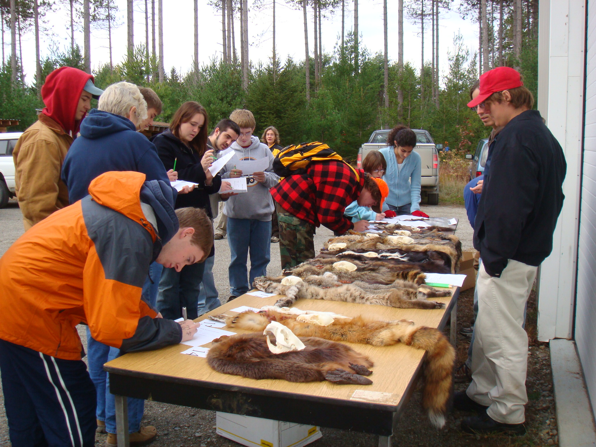 Activities - The Wildlife Society - University of Maine