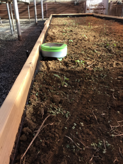 The Tertill: an autonomous weeder from Franklin Robotics - Weed Ecology ...