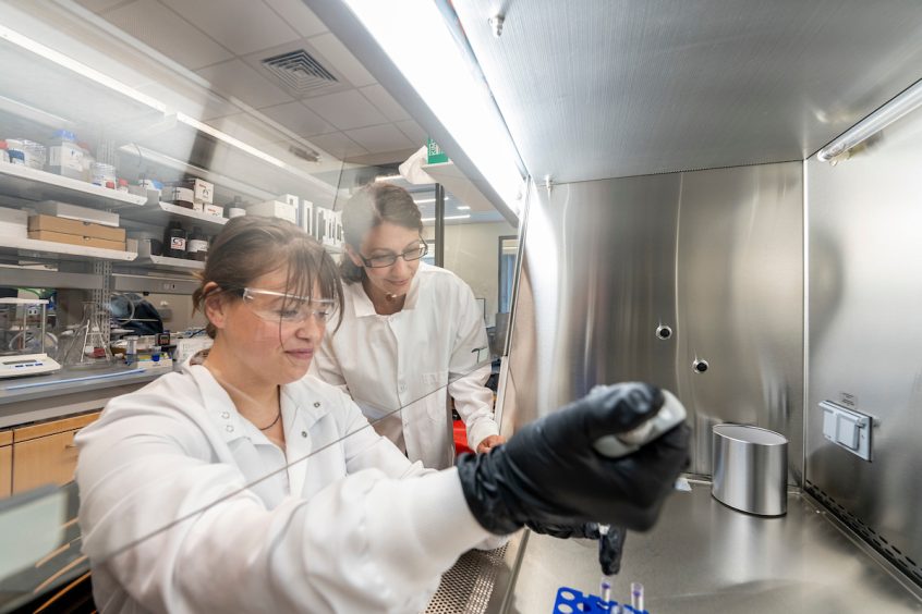 Academics - The University of Maine